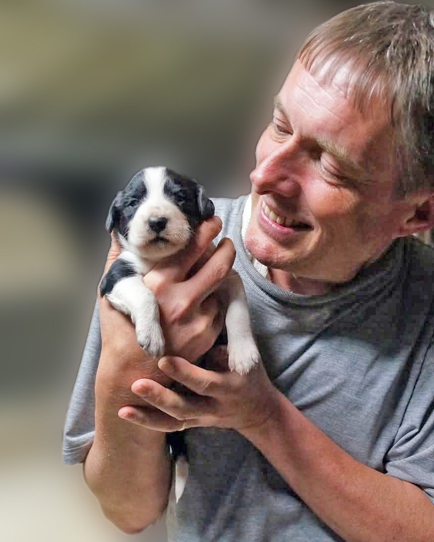 Online condolenties | Uitvaartzorg Hansen