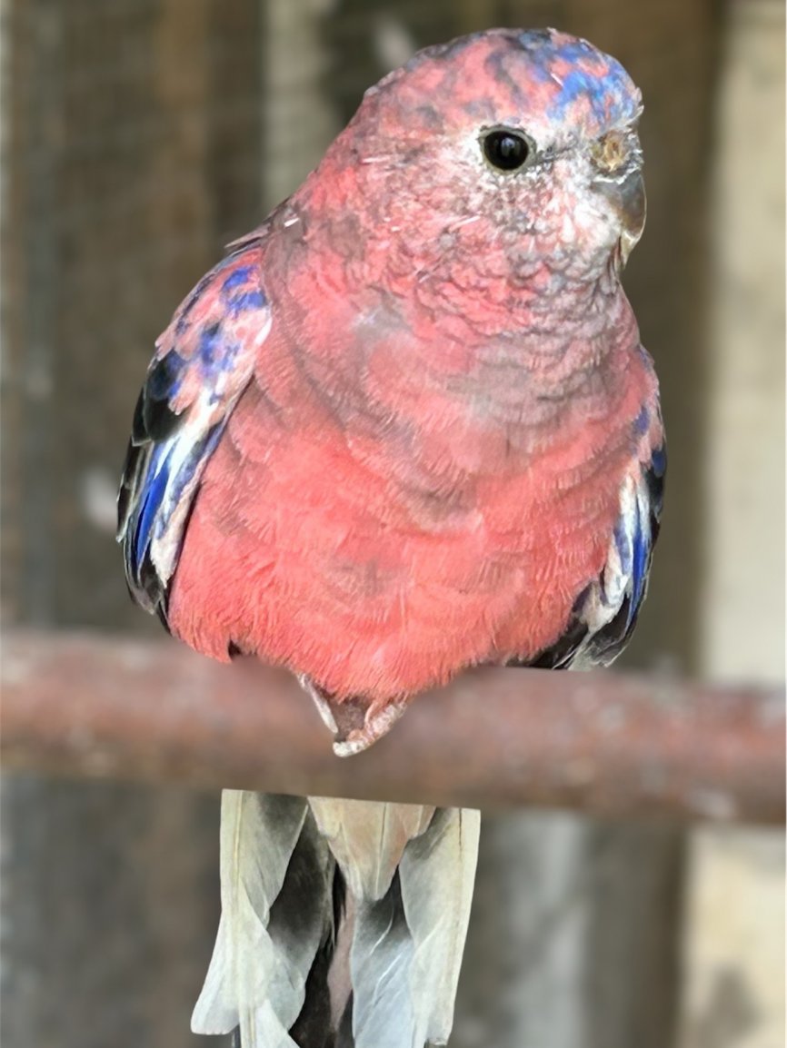 Online condolenties | Uitvaartzorg Hansen